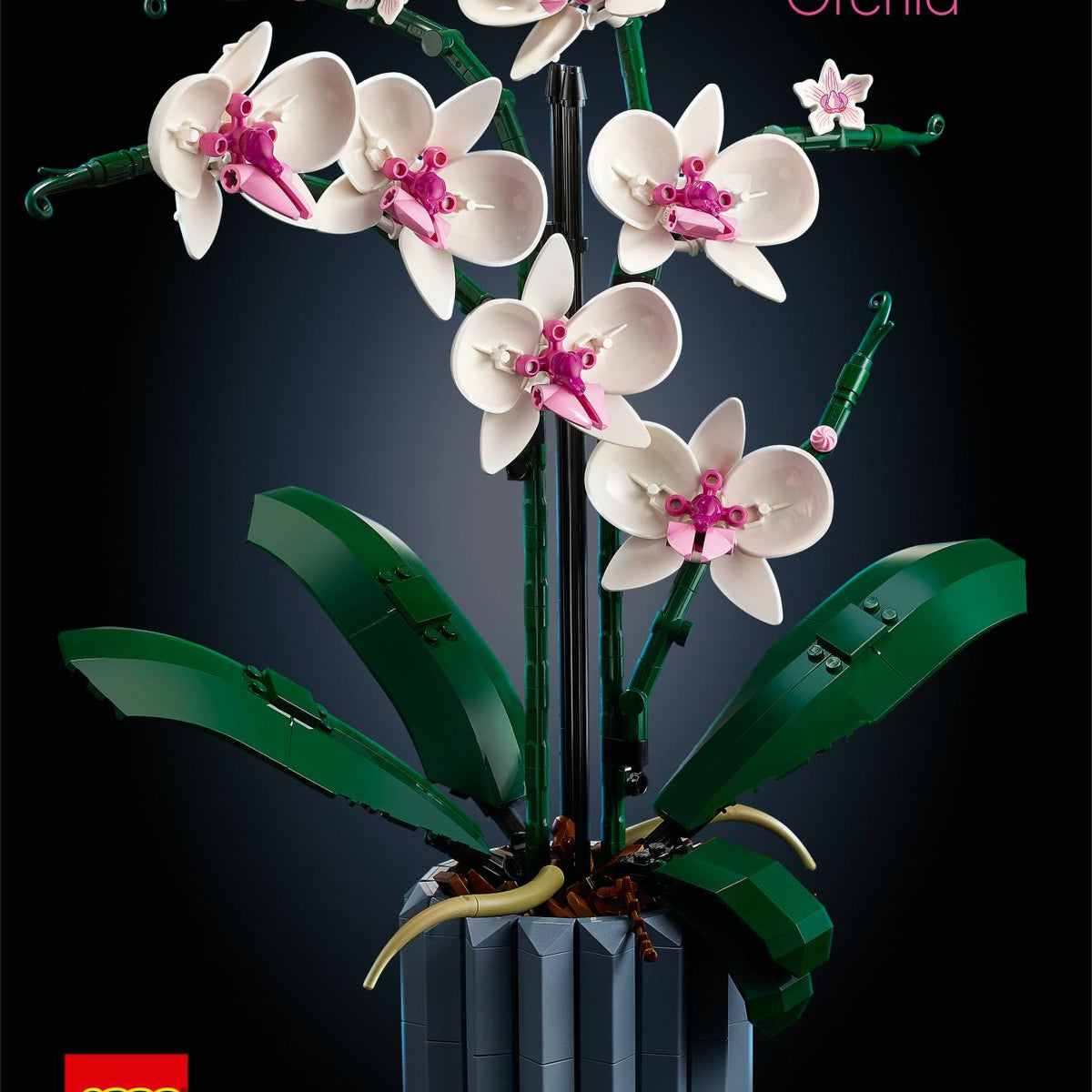 LEGO Icons - Orkide(10311) – Geekd